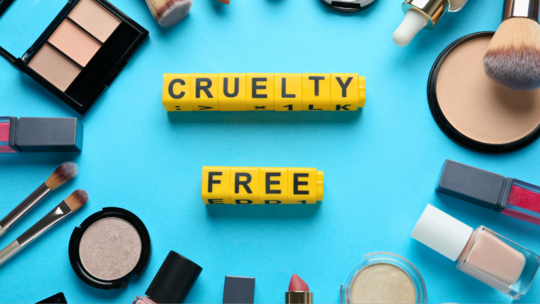 Achieving Career Success through Clothing and Makeup Choices that ...